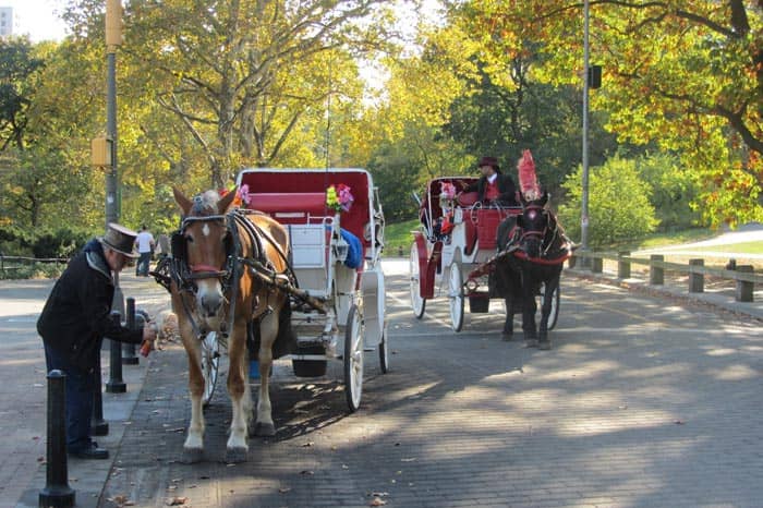A carriage ride through Central Park - NewYorkCity.ca